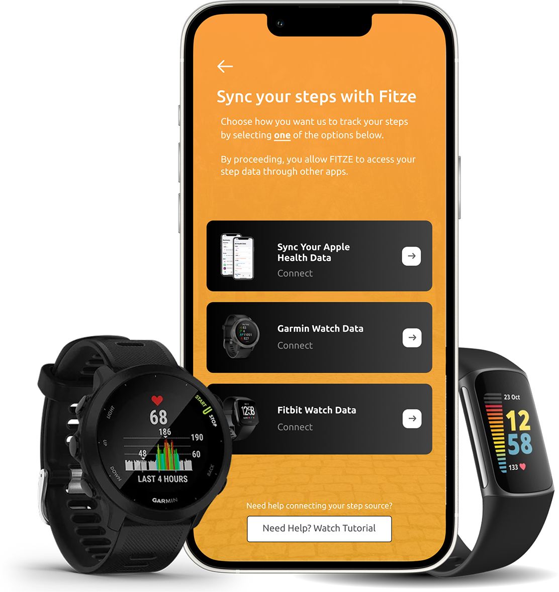 How it works | Fitze